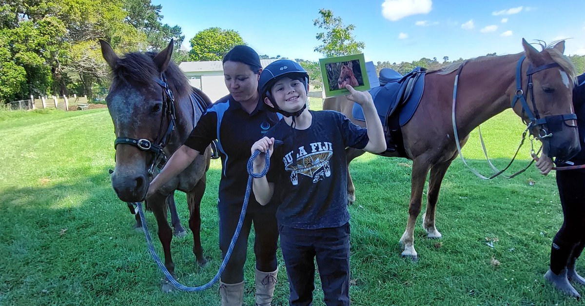 West Auckland Riding for the Disabled seeks cover with a $300K grant - NZCT